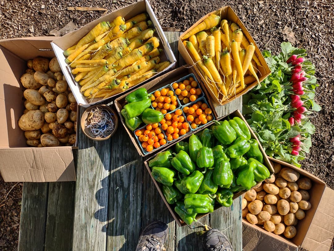 Aunt Dot's Place | Community Food Shelf in Essex, Vermont